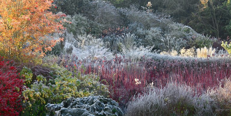 cedric_pollet_photographe_ecorces_art_jardins_dhiver_talents_dorigine ...
